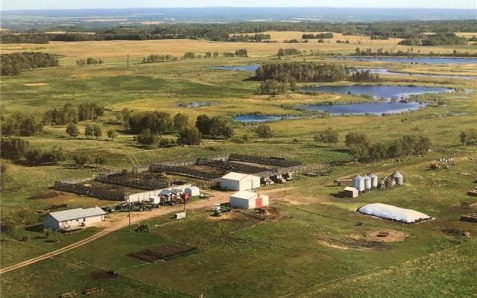Canadian Farm News & Agriculture Real Estate - Farms, Ranches, Land For ...