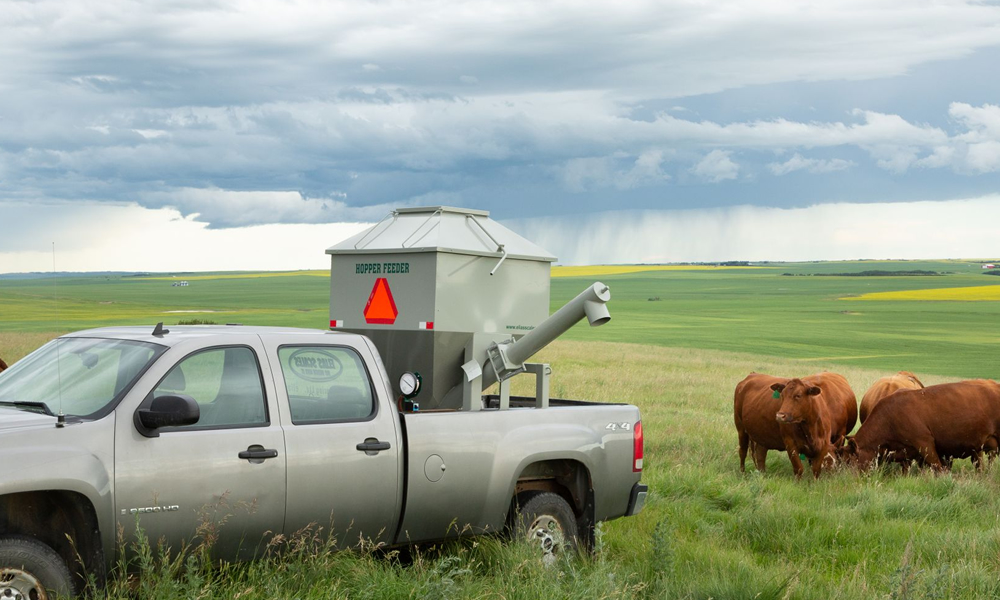 Canadian Farm News & Agriculture Real Estate - Farms, Ranches, Land For ...